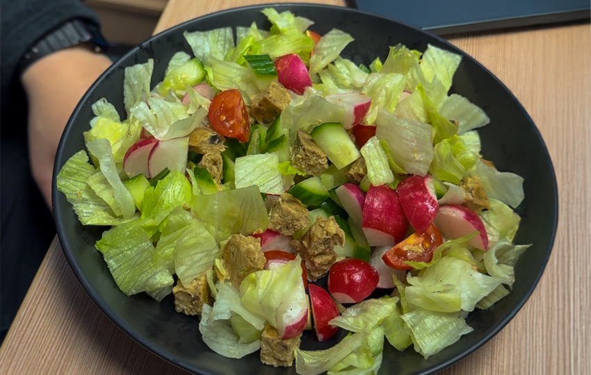 Míchaný salát s veggie burgerem - Prodietix e-shop